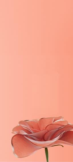 RepeatMD - How It Works