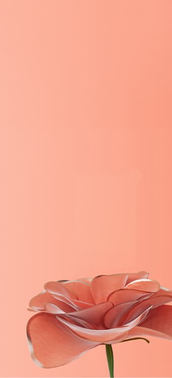 RepeatMD - How It Works