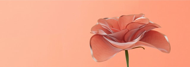 RepeatMD - How It Works