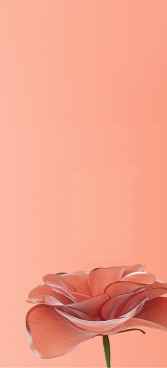 RepeatMD - How It Works